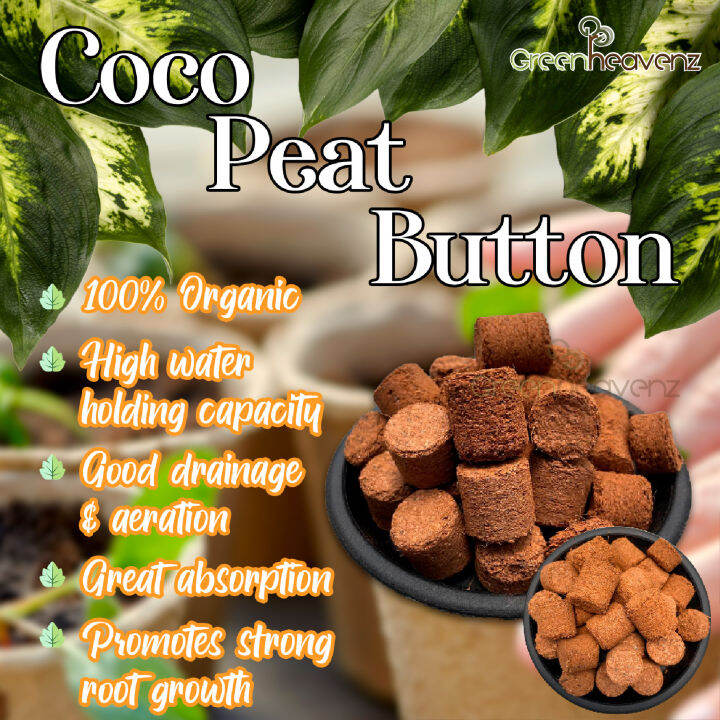 GHZ Coco Peat Murah Tanah Cocopeat Button Hydroponic Seed Germination ...