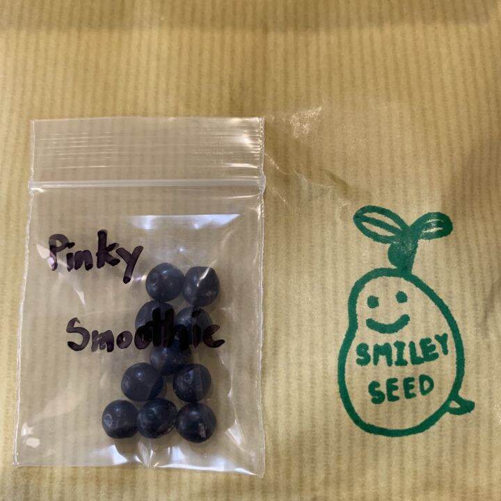 ซึ่งมีคุณภาพสูง Smiley Seeds เมล็ดพันธุ์ พุทธรักษาแคระ แพ็ค 10 เมล็ด ...