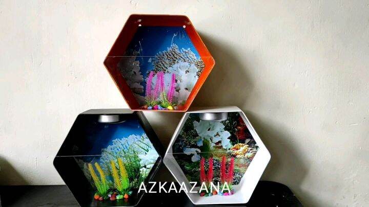AKUARIUM MINI PVC HEXAGONAL IKAN HIAS CUPANG GUFI KURA-KURA Lengkap ...