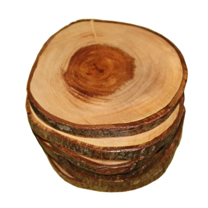 SANDERWOOD 6pcs Wood Slice Coaster 6 inches width | Lazada PH
