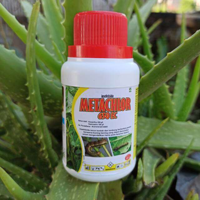Insektisida Metachlor 650EC 100 ML | Lazada Indonesia