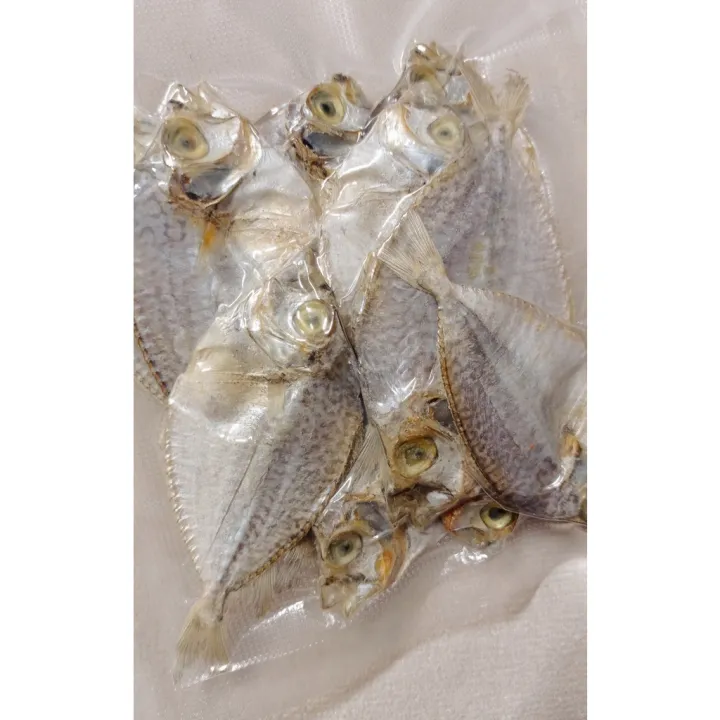 ♙Iloilo Dried Fish Sapsap Tuyo Sapsap 100g | Lazada PH