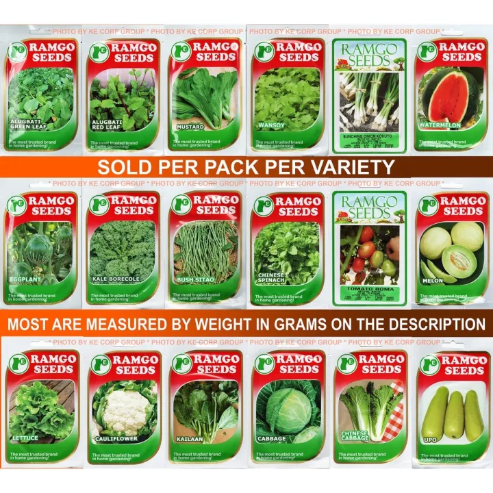 Ramgo Seeds Sold Per Pack Per Variety - Alugbati Cabbage Bunching Onion ...