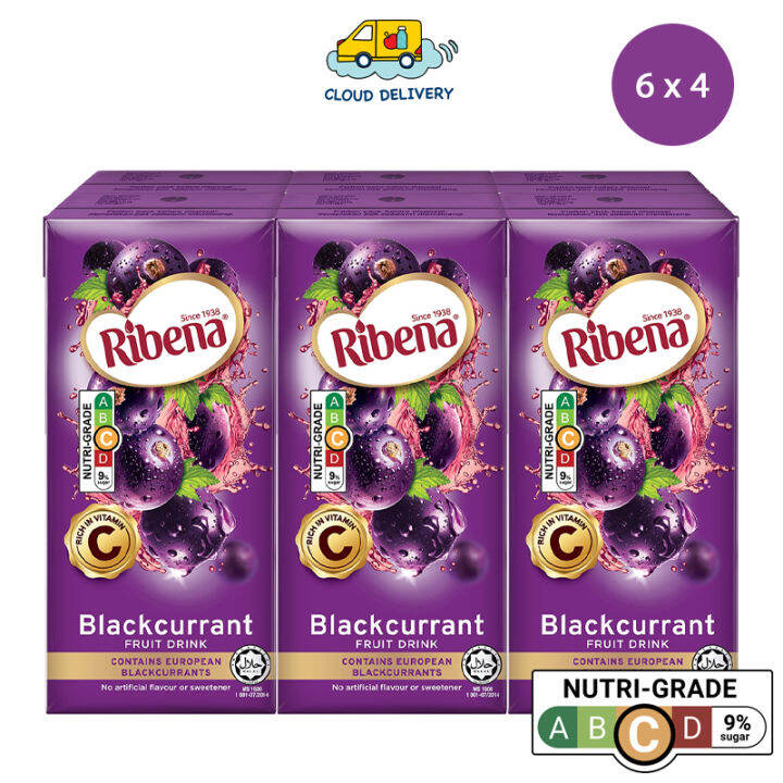 Ribena Blackcurrant Fruit Drink (24 x 200ml) - Expiry 1 Jun 2024 ...