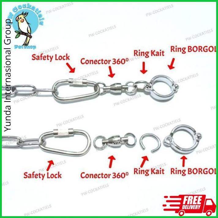 Rantai Dan Ring Borgol Kaki Burung Kakatua Medium Triton Afgrey Parrot ...