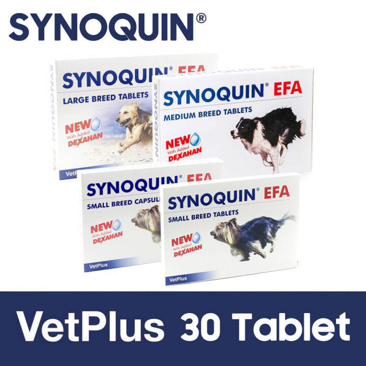 VetPlus Synoquin EFA Tablet capsule Small Medium Large Breed Dog ...