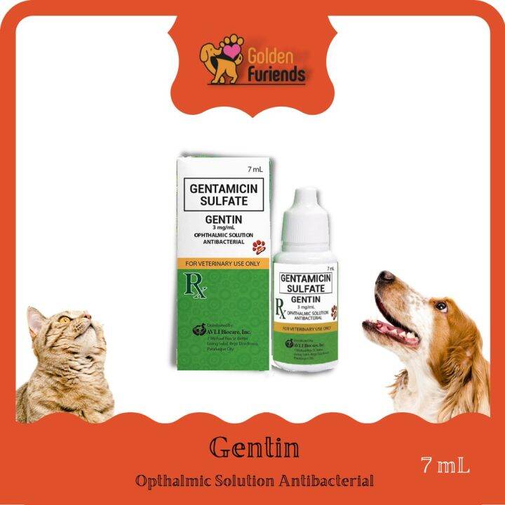Gentin Antibacterial Opthalmic Solution EYE DROPS 7mL | Lazada PH