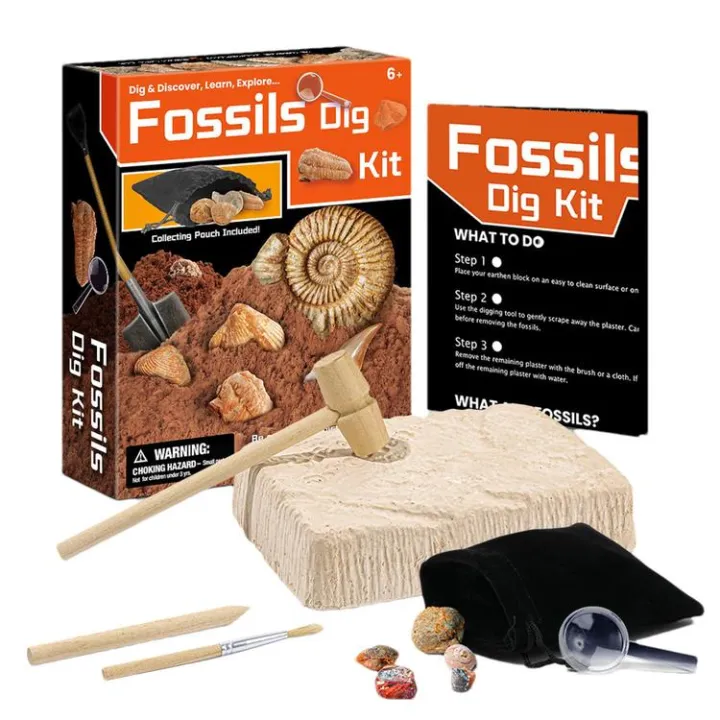 Gem Digging Kit for Kids Gemstones and Crystals Dig Kit for Kids Fossil ...