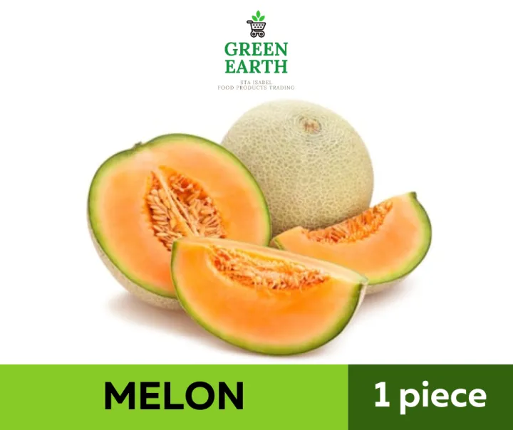 GREEN EARTH MELON - 1pc - (Approx. 1.6kg-1.8kg) | Lazada PH