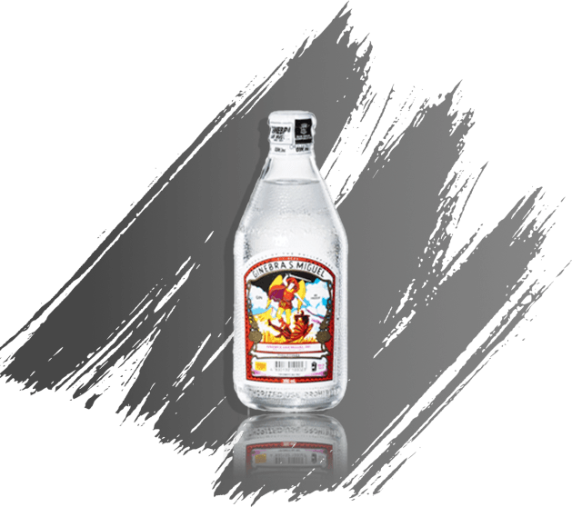 EAGLE Ginebra San Miguel Round 350ml GIN BILOG | Lazada PH