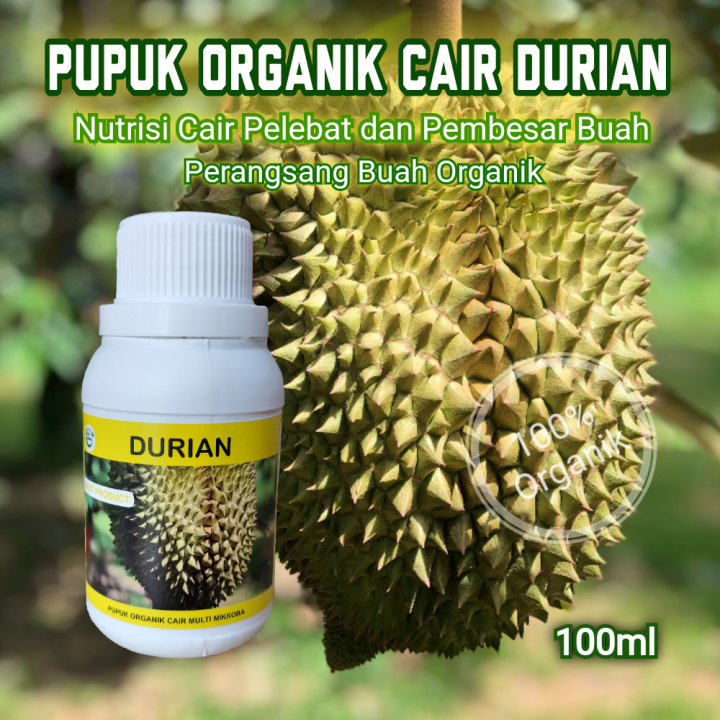 Pupuk Durian Organik Agar Cepat Berbuah Lebat Ampuh Booster Pelebat Buah Obat Perangsang Bunga ...