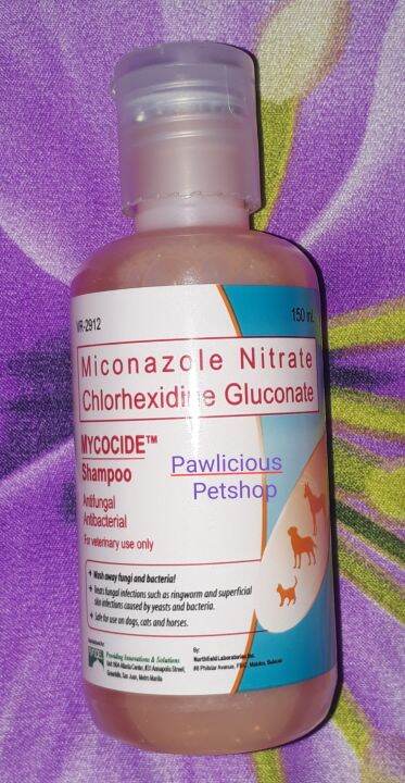 Mycocide Shampoo 150ml | Lazada PH