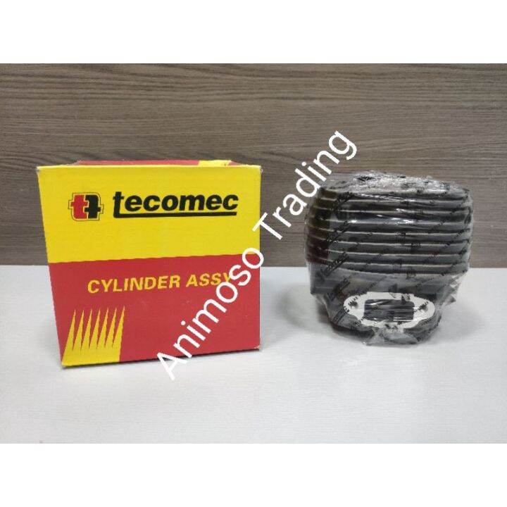 Tecomec Cylinder Block Assembly for 070 Model | Lazada PH