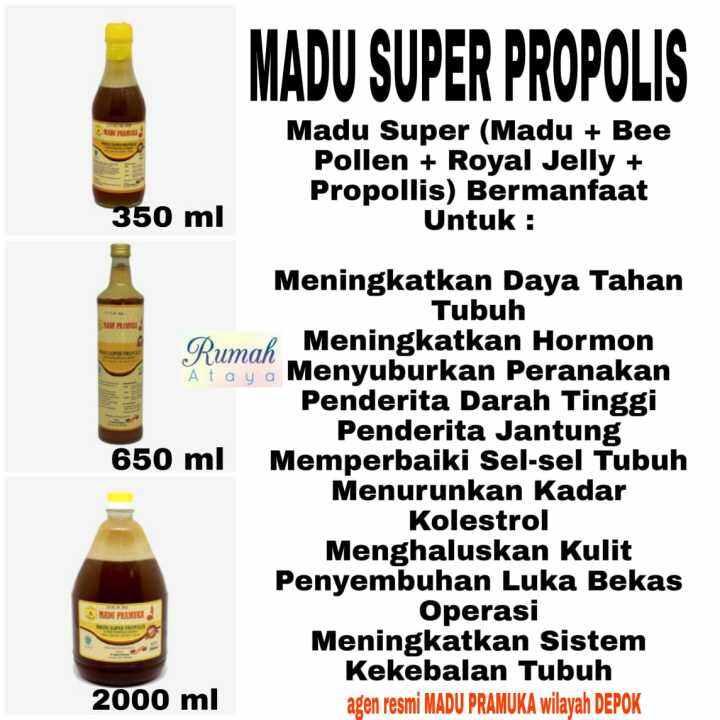 Madu Pramuka MADU SUPER PROPOLIS 350 ML | Lazada Indonesia
