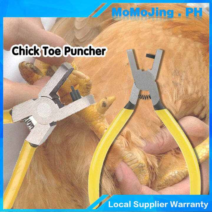 2mm Chick Toe Puncher Universal Rooster Hole Punch Plier | Lazada PH