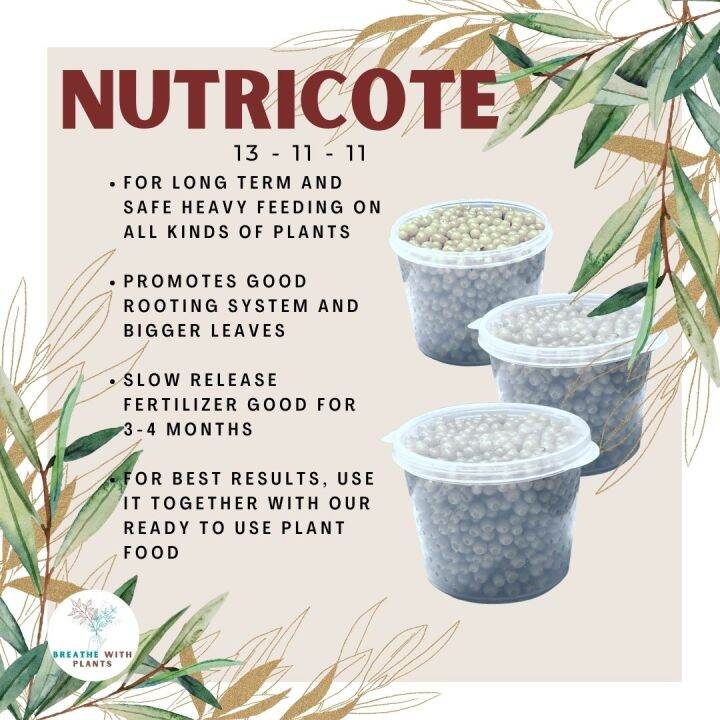 Nutricote Total 13 - 11 - 11 Controlled Release 30 Grams | Lazada PH