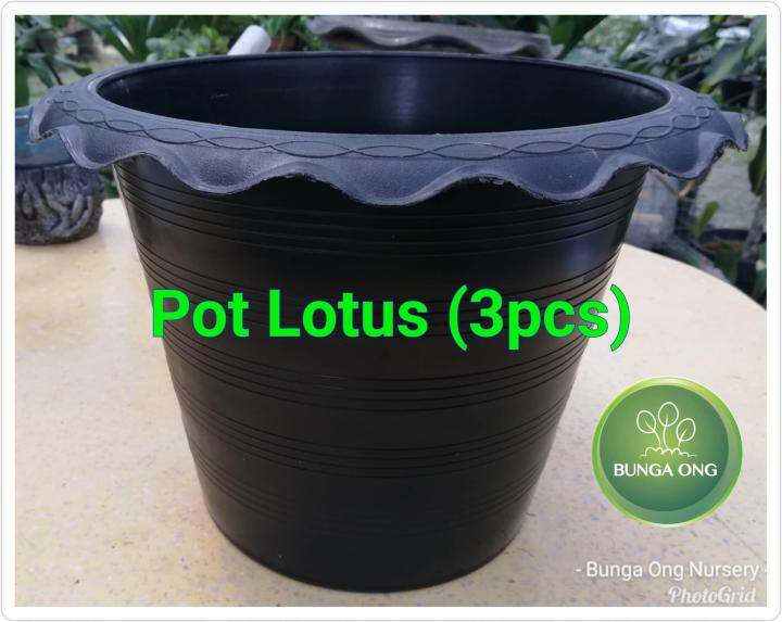 Pot Lotus Plastic size 12 (3pcs) | Lazada