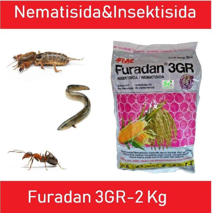 Furadan 2 Kg Obat Hama Nematisida dan Insektisida | Lazada Indonesia