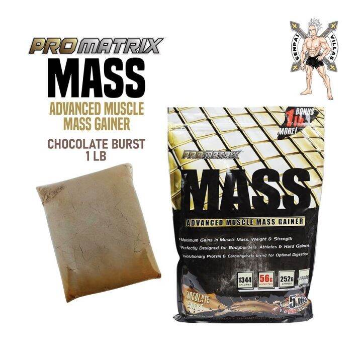 PROMATRIX MASS GAINER WHEY PROTEIN 1LB | Lazada PH
