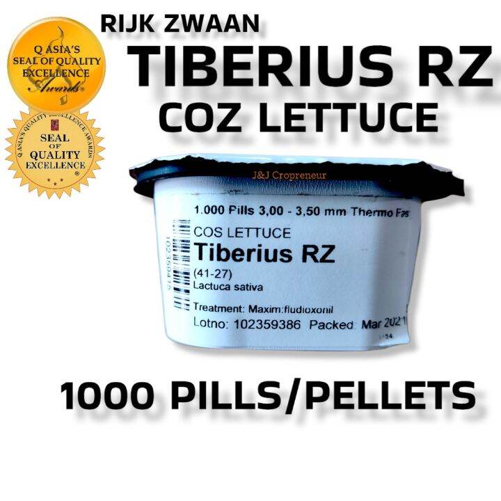 TIBERIUS RZ COS LETTUCE 1000 PILLS RIJK ZWAAN | Lazada PH