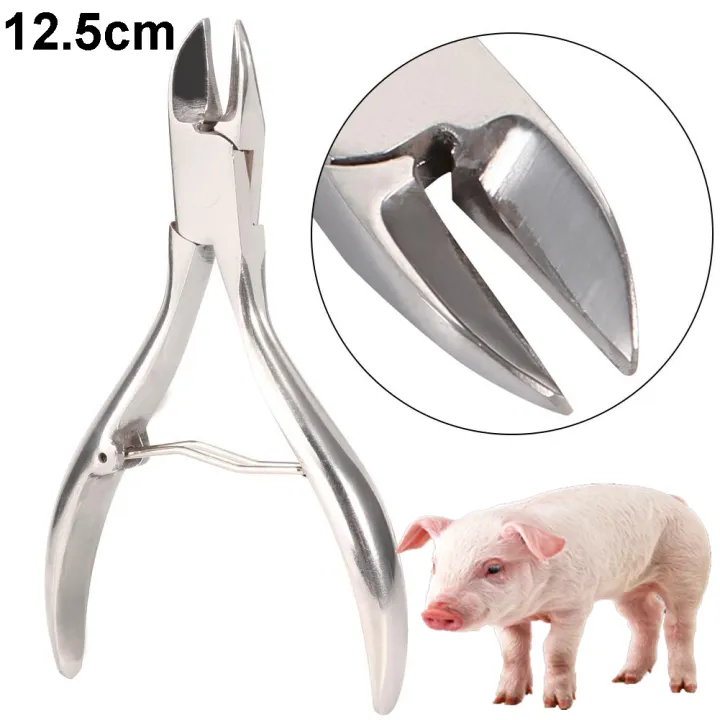 12/14cm Stainless Steel Teeth Cutting Pliers for Dog Piglet Clipper ...