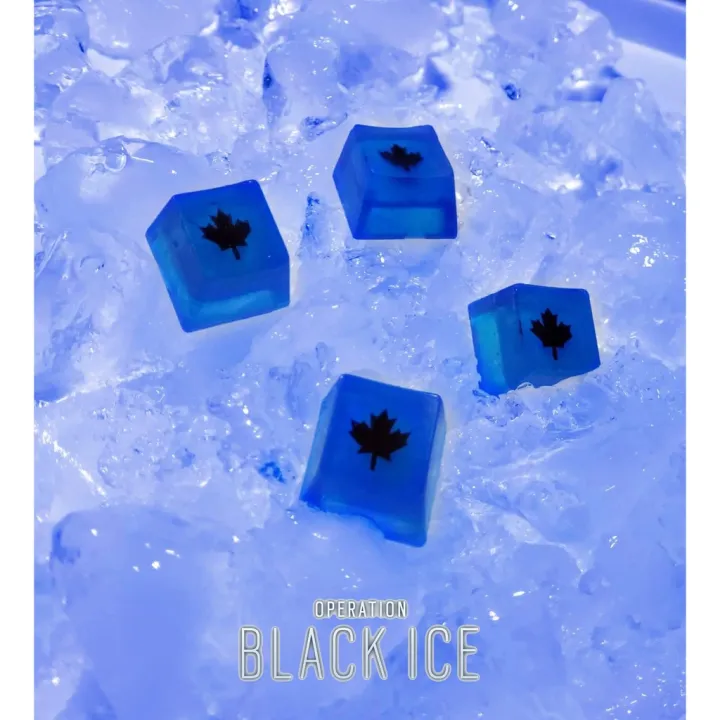 Black Ice Resin Keycap ปุ่มคีย์บอร์ด Rainbow Six Siege | Lazada.co.th
