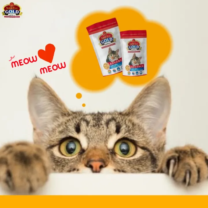 อาหารแมว Super Cat Gold Premium ขนาด 3.5 กก. | Lazada.co.th