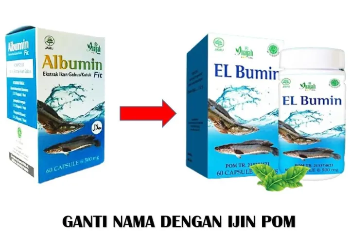 Kapsul Albumin / ELBUMIN INAYAH Kemasan Baru Sudah POM Jadi Elbumin ...