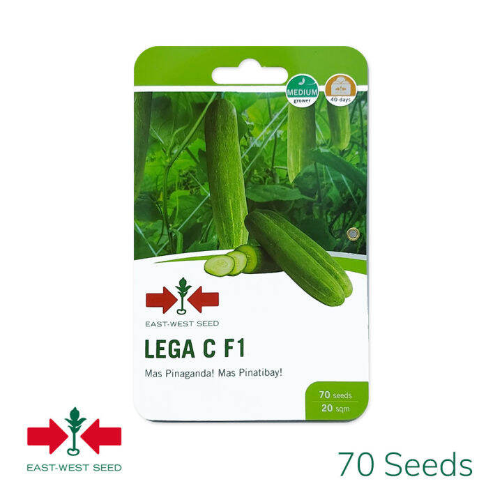 Eastwest Seed LEGA C F1] Pipino/Cucumber Go Grow Pack | Lazada PH