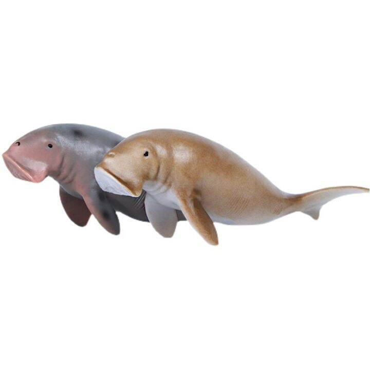 Simulation Marine Life Model Merma Dugong Dugon Children's Animal ...
