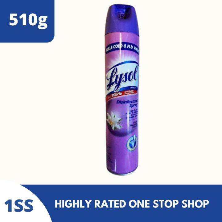 Lysol Early Morning Breeze 510g | Lazada PH