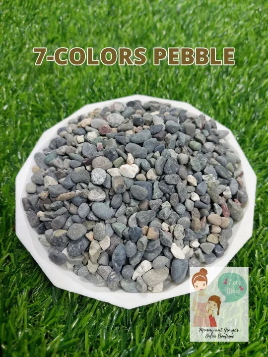 1KG 7-COLORS PEBBLE | Gardening Pebbles | Aquarium Pebbles | Lazada PH