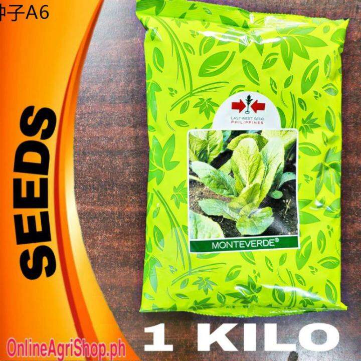 ♪MONTEVERDE 1 KILO MUSTASA SEEDS MUSTARD SEEDS MUSTAZA SEEDS BY EAST ...