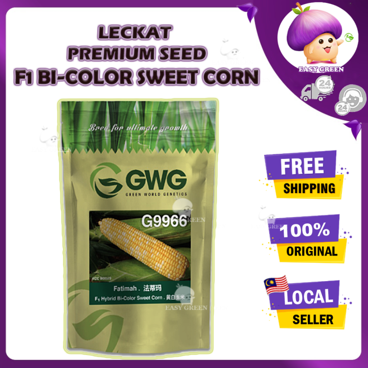 500GM GWG G9966- JAGUNG MUTIARA FATIMAH LOWLAND CAMERON CORN SEED ...