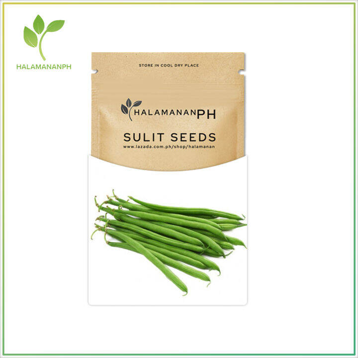 BEANS - BAGUIO BEANS - LOWLAND VARIETY - SUPER SULIT VEGETABLE SEED ...