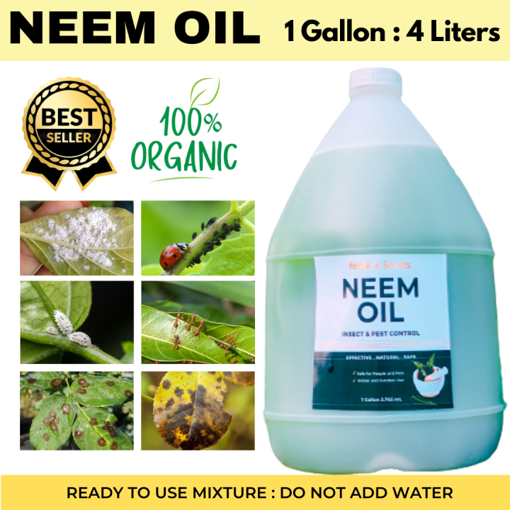 [80] 💚HERBAL SECRETS NEEM OIL GALLON, NEEM OIL PLANT SPRAY in refill ...