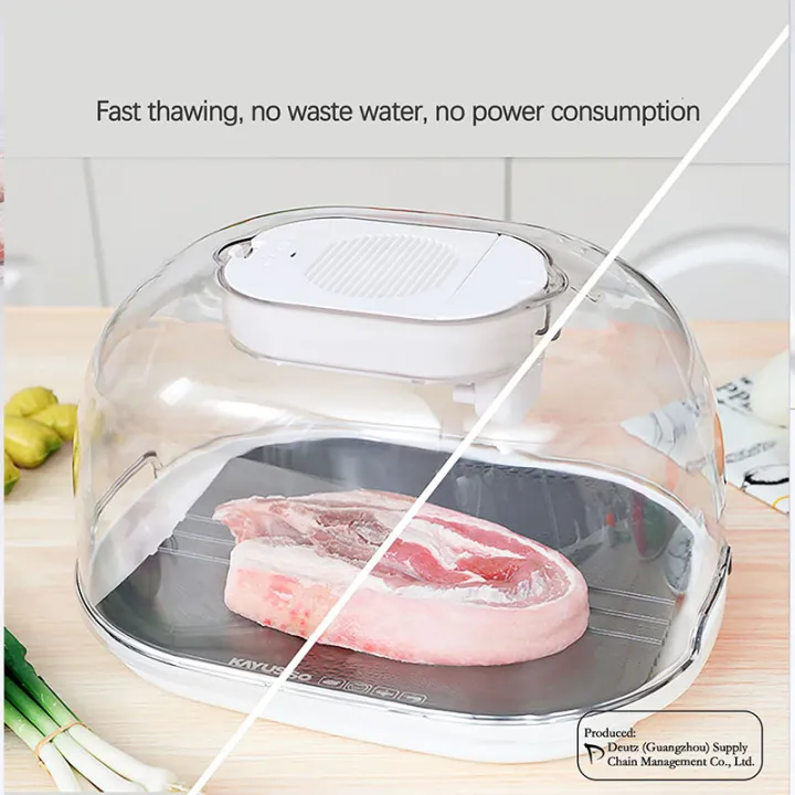 JIASHI Constant temperature preservation quick defrost steak heat ...