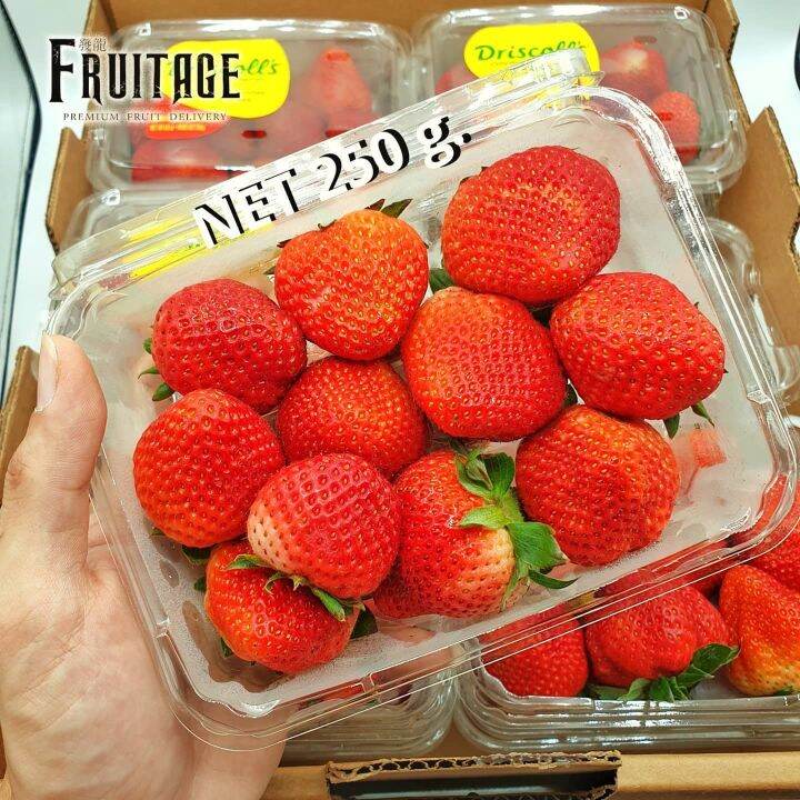 สตอเบอรี่นำเข้า จากอเมริกา/ออส Strawberry (USA/AUS) (5แพค) ~ลดพิเศษ~ส่ง ...