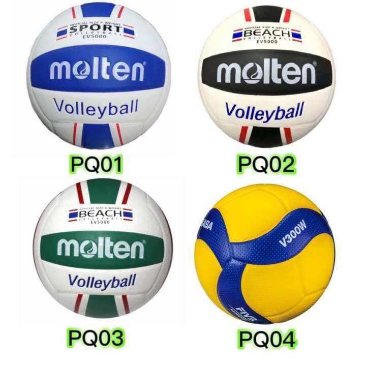 Molten Official Volleyball Line 5 soft PU Match training ball EV5000 ...