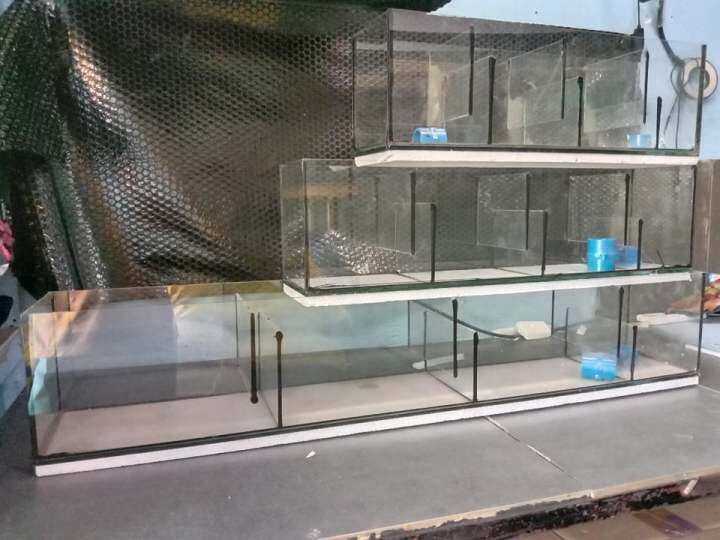 sump Overhead aquarium fish tank filter over head | Lazada PH