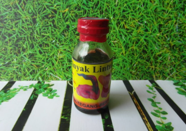 MINYAK LINTAH KALIMANTAN | Lazada Indonesia