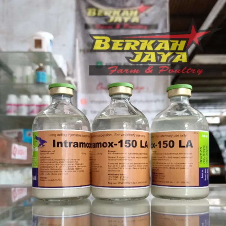 INTRAMOX 150 LA Amox inject Obat Hewan 100ml | Lazada Indonesia