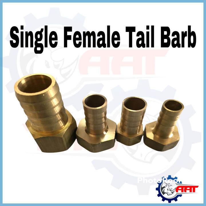 Single Tail Barb FEMALE THREAD | Lazada PH