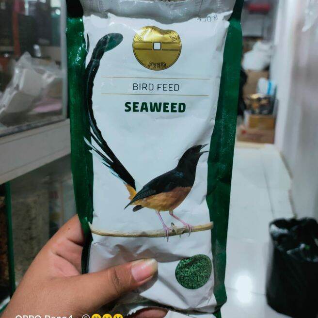 voer gold coin ijo rumput laut pakan burung harian | Lazada Indonesia