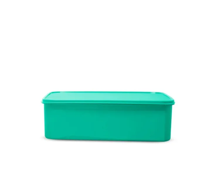 Tupperware Large Modular Rectangular 9.4L - Sea Green | Lazada PH