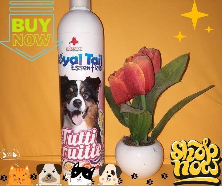 Royal Tail Essentials Madre De Cacao Shampoo 500ml Tutti Fruitie ...