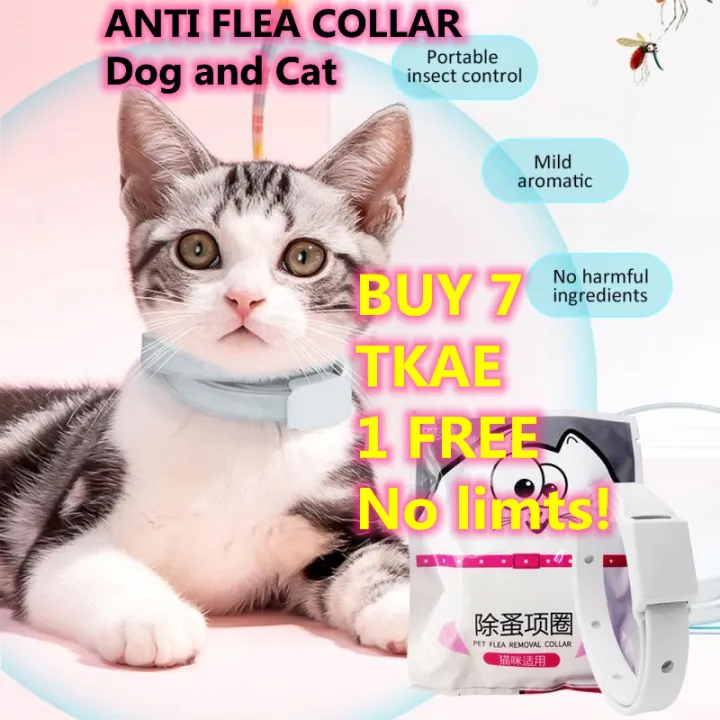 Pet Flea Collar Cat Dog Mosquito Repellent Insect Collar Pet in Vitro ...