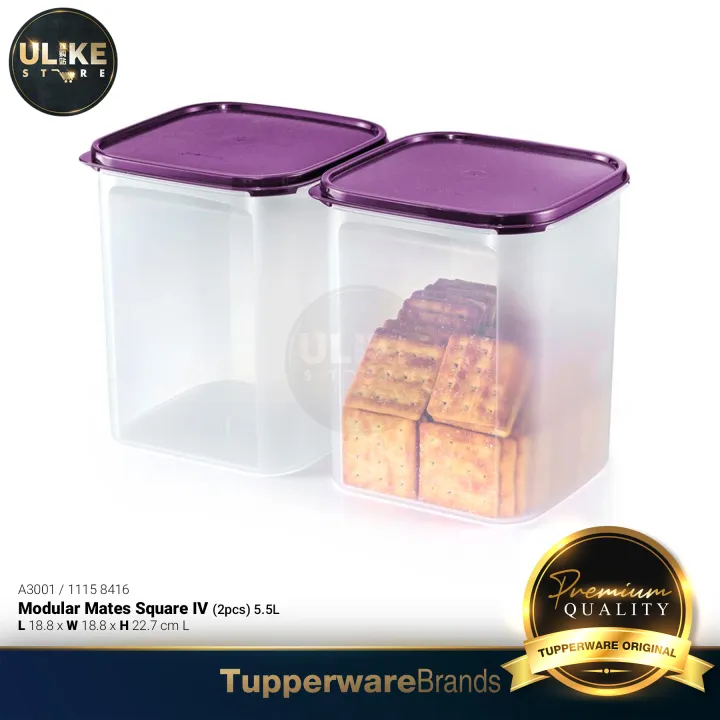 Tupperware Modular Mates Square IV / Modular Mates / MM / (5.5L) 2units ...