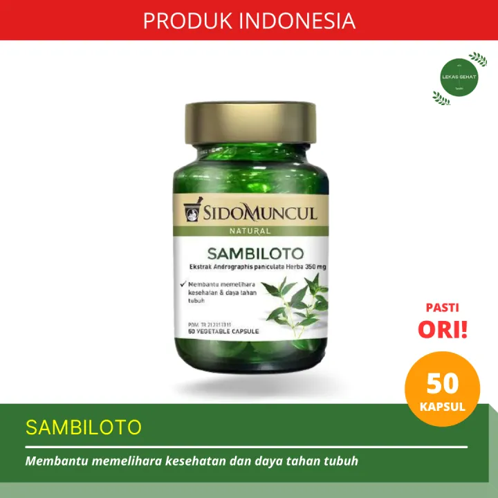 SAMBILOTO SIDOMUNCUL 50 KAPSUL, ASLI OBAT ANTI PIRUS & SUPLEMEN DAYA ...