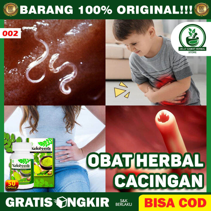 Obat Herbal Cacingan, Obat Untuk Penyakit Cacingan, Obat Cacingan Untuk ...